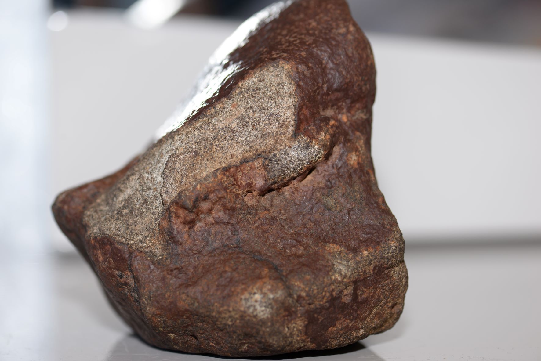 Achondrite, Angrite PARED SAHARA 99555 - MZ METEORITES